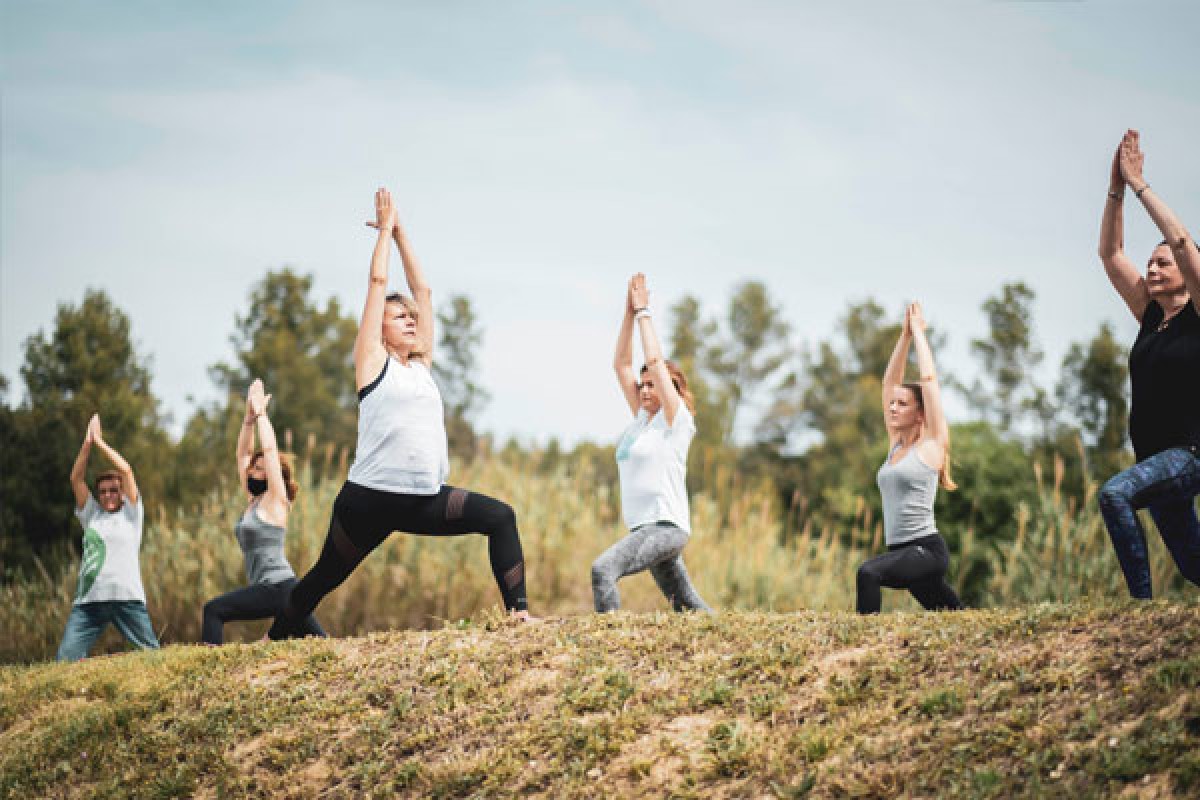 Yoga i tast entre vinyes a Vins El Cep
